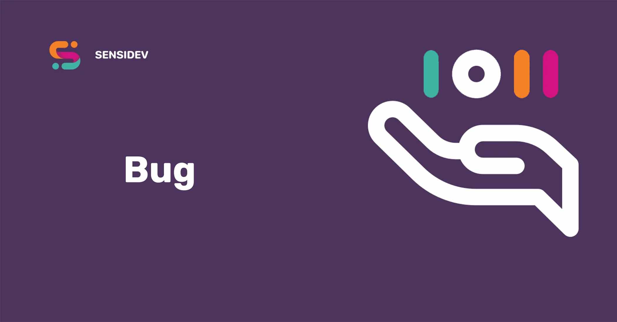 What is a Bug? | Understanding Software Errors