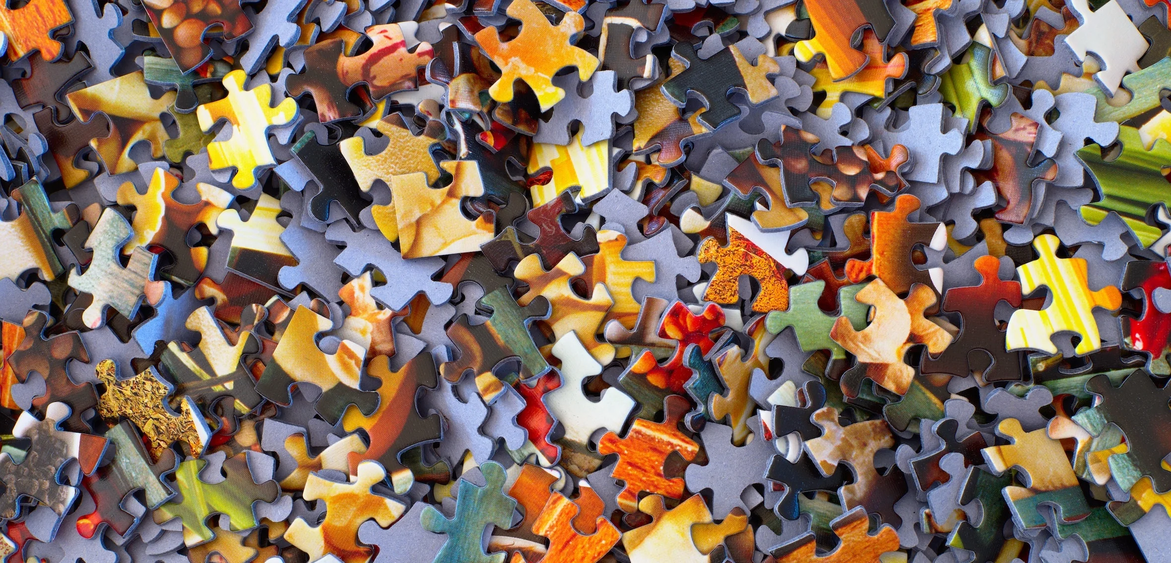 The team at Sensidev Web Development and App Development Company